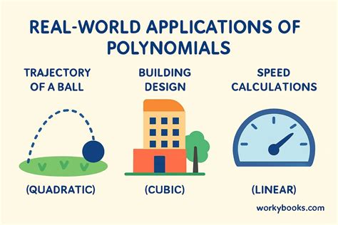 Degree Of A Polynomial Definition Facts Examples And Quiz Math Learning