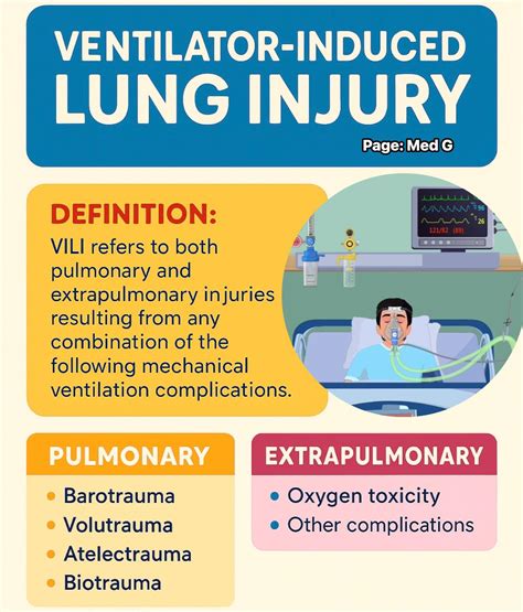 Clinical Anatomy And Clinical Anatomy And Operative Surgery