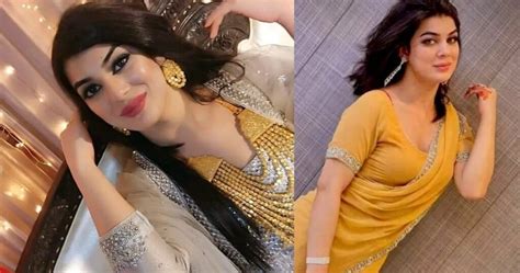 Dolphin Ayan Viral Video Case First Ever Case Filed Under Peca Act In Kpk Media Bites