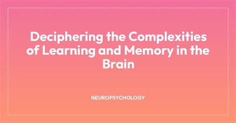 Deciphering The Complexities Of Learning And Memory In The Brain • Psychology Town