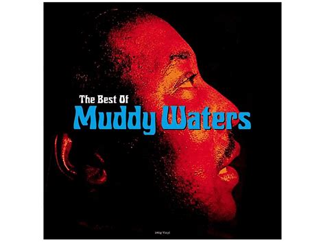 Muddy Waters Muddy Waters Best Of Muddy Waters Vinyl Hip Hop And Rap Vinyl Mediamarkt