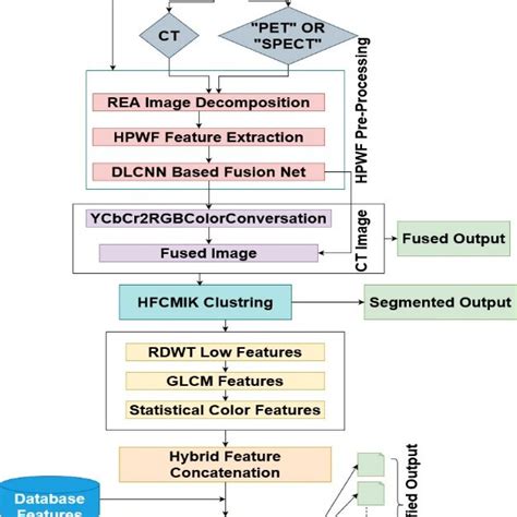 segmentation and classification model for a proposed brain tumor fusion