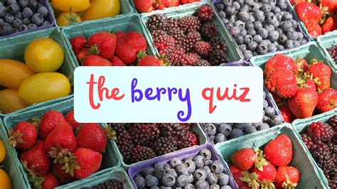 Quiz Only The Berry Best 35 Trivia Questions About Berries