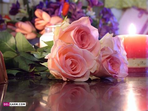 20 عکس پروفایل شمع و گل زیبا و احساسی