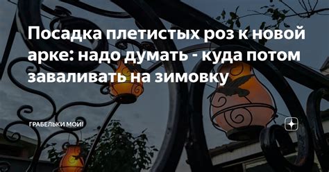 Посадка плетистых роз к новой арке надо думать куда потом заваливать