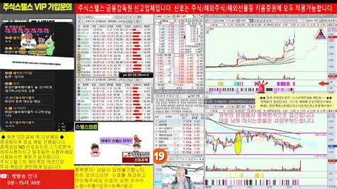 하락장 상승장 어떤시장에도 유연성있게 대처하는 방법을 배우고 싶다면 무료주식방송 주식스텔스 주식단테 사단 생방송