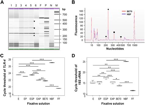Rna Integrity Profile Of Rna Samples Derived From Experimental Mouse