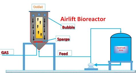 Airlift Bioreactor Working Types Design Parts Specification Pdf 4 0