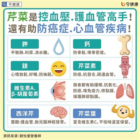 芹菜營養高但未必人人能吃 營養師提醒4種人先不要 祝你健康 三立新聞網 Healthsetncom