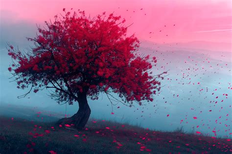 Download Ai Generated Tree Sunset Royalty Free Stock Illustration Image Pixabay