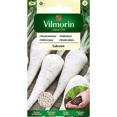 Pietruszka Cukrowa Otoczkowana 300 Nas Standard Vilmorin Rolno