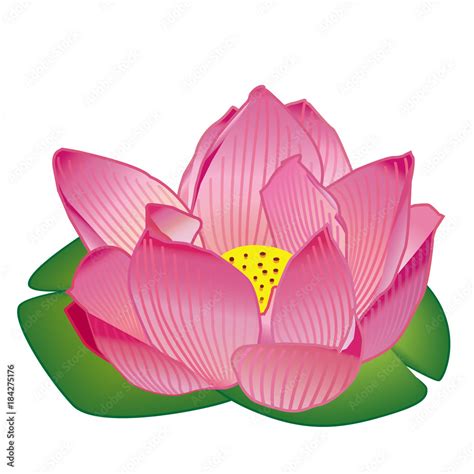 睡蓮菩薩 鬼滅の刃 上弦の二 Bvluo