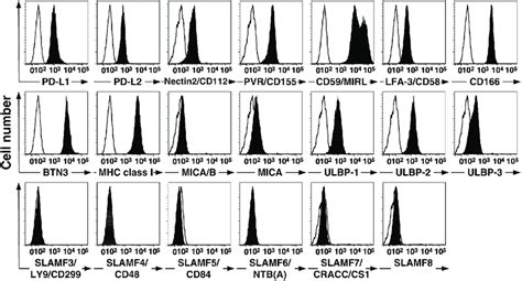 Pc 3 Prostate Cancer Cells Express Pd L1 Pd L2 And Other Receptor