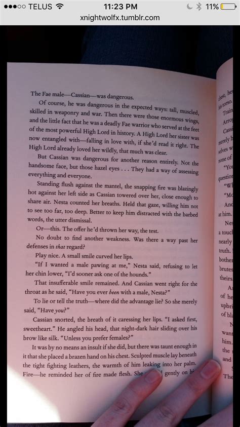 Part 6 Of The Bonus Scene With Nesta And Cassian Sarah J Maas Books