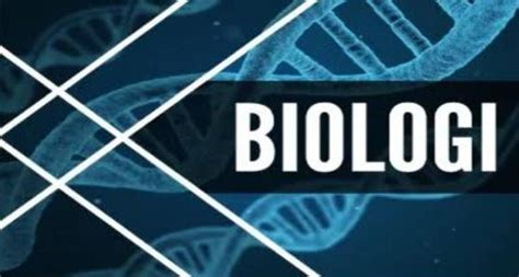 Materi MP Biologi Kelas 12 BAB I Pertumbuhan Dan Perkembangan Makhluk