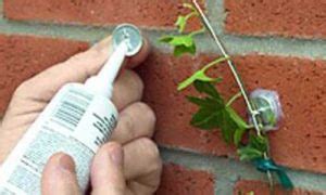 How To Attach Trellis To Brick Wall Without Drilling