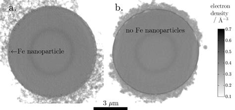 Representative Slices Of Cfs Electron Density Maps A An Unprotected Download Scientific