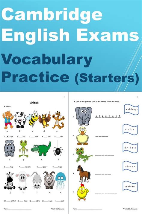 Cambridge English Exams Vocabulary Practice Worksheet Pack