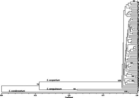 unweighted pair group method with arithmetic mean cluster analysis for