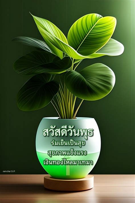 ปักพินโดย Ramchai Chuenbumrung ใน สวัสดีวันพุธ สวัสดีตอนเช้า วันพุธ