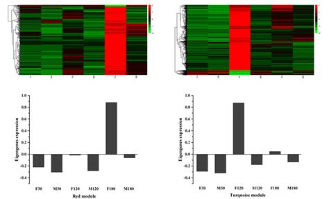 Figure 1 From Integrative Metabolome And Transcriptome Analysis Of Flavonoid Biosynthesis Genes