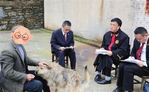 以案释法耄耋老人非法持有枪支被判刑 澎湃号政务 澎湃新闻 The Paper