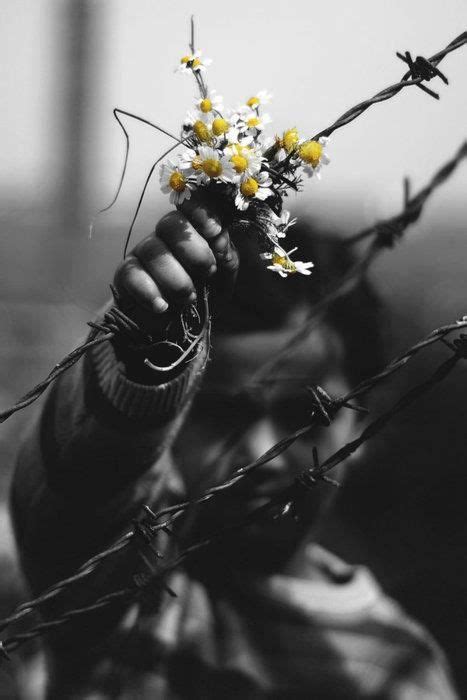 ونحنُ نحبُ الحياةَ إذا ما استطعنا إليها سبيلاَ Photography Photo