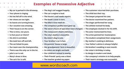 Examples Of Possessive Adjective Word Coach