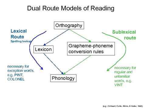 Language Comprehension Reading Research Methods Recording