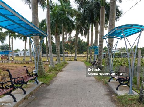 길가를 따라 두 줄의 고대 아레카 나무가 있는 시골길 롱안성 0명에 대한 스톡 사진 및 기타 이미지 0명 Tiền Giang Province 가로수 Istock