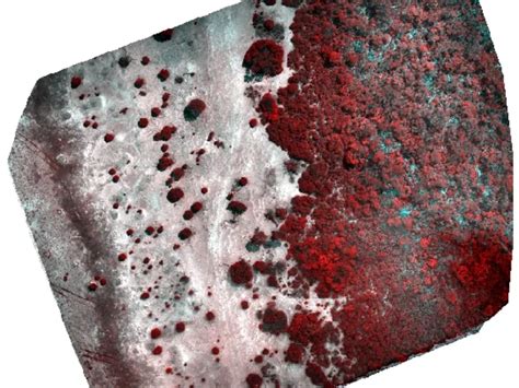 Orthophoto Orthomosaic Imagery From Drone Images Upwork