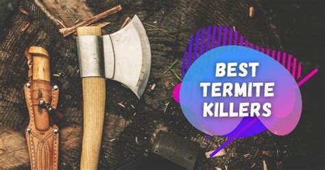 Best Termite Killer 2024 Edition Pest Survival Guide