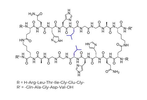 Isotope Labeled Peptides Sil Peptides Qyaobio