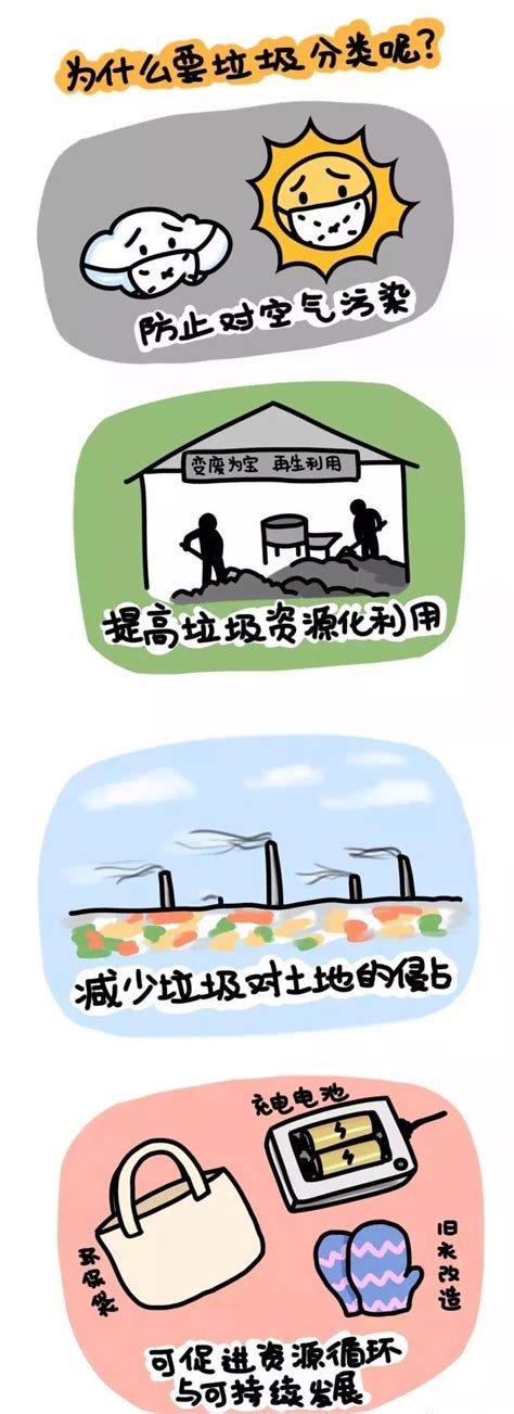 垃圾分类小常识一看就懂 澎湃号媒体 澎湃新闻 The Paper
