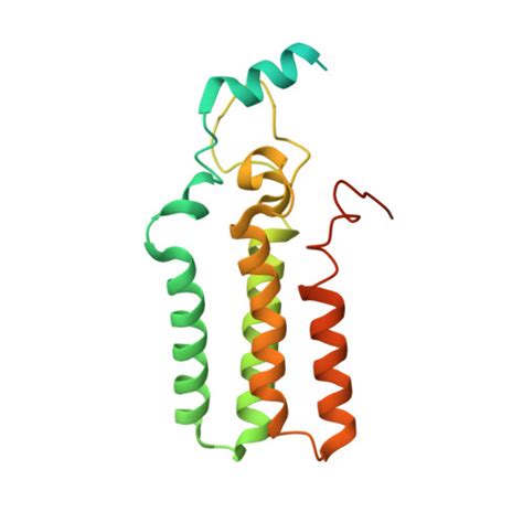 Rcsb Pdb 8iam Cryo Em Structure Of The Yeast Spt Orm2 Orm2 S3d Complex
