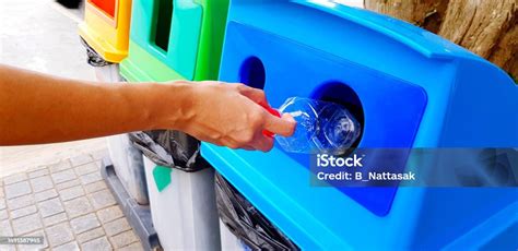 여자의 손을 잡고 플라스틱 물병을 파란색 재활용 쓰레기통 쓰레기통 또는 쓰레기통에 버립니다 가사 집안일에 대한 스톡 사진 및 기타 이미지 Istock