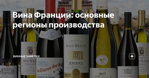 Вина Франции основные регионы производства Винные заметки Дзен