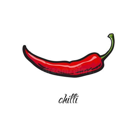 Realistic Hand Drawing Of Whole Red Chili Pepper Stock Vector