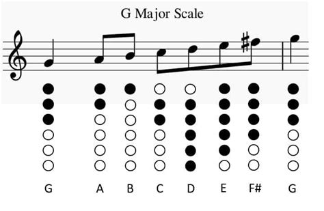 The Best Way To Learn Tin Whistle A Thorough Learning Plan Sound