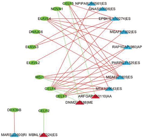 Comprehensive Analysis Of Alternative Splicing Signatures In Pancreatic
