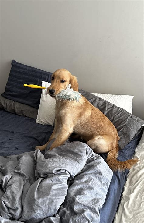 Shes Such A Good Girl Always Helps With The Cleaning Raww