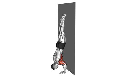 Master The Handstand Push Up Male Edition Video Guide And Tips