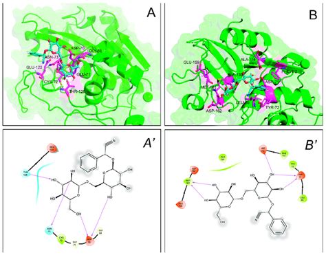 Computed Binding Modes Of Amygdalin To Cathepsin B Pdb Id 1csb And L