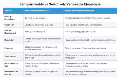 Semipermeable Vs Selectively Permeable Membrane