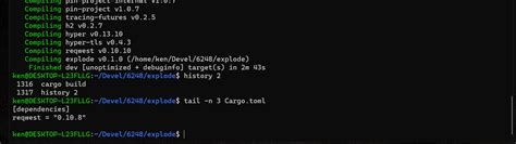 Rust Compiler Turns My Computer Off On WSL But Not On Windows Issue