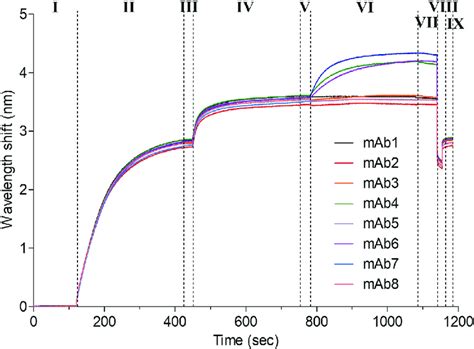 Representative Assay Run For Epitope Binning Mab1 Is Used As Capture Download Scientific