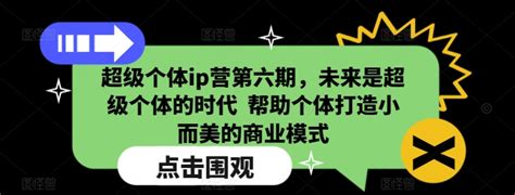 超级个体ip营第六期，未来是超级个体的时代 帮助个体打造小而美的商业模式欣辰题库
