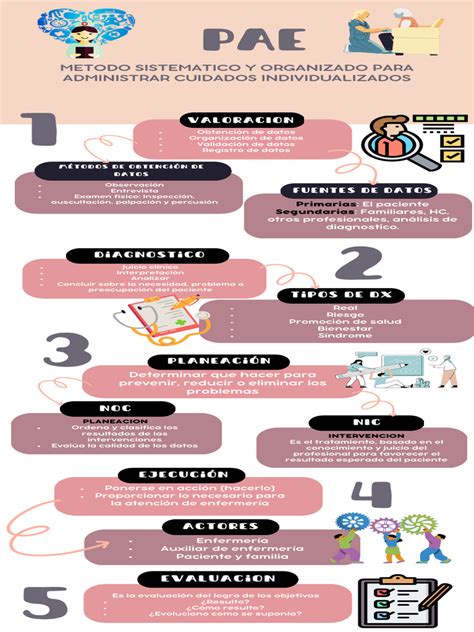 Infografia Pae Pdf Enfermería Examen Físico
