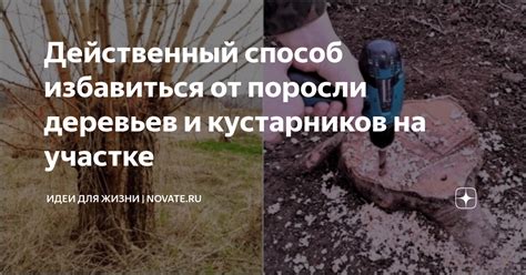 Действенный способ избавиться от поросли деревьев и кустарников на
