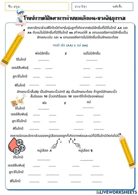 แบบฝึกหัดการการแก้ปัญหาการถ่ายทอดลักษณะทางพันธุกรรม Worksheet
